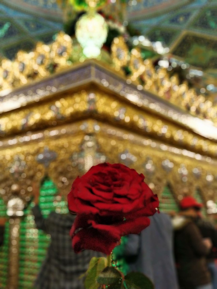 Rustom (@Rustom_Mohammed) | Twitter