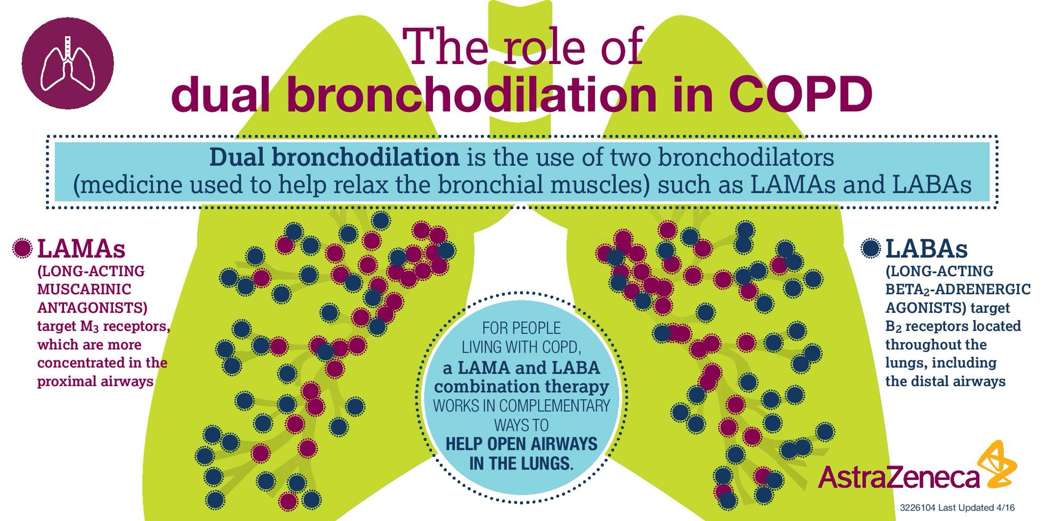 Bronchodilator Copd