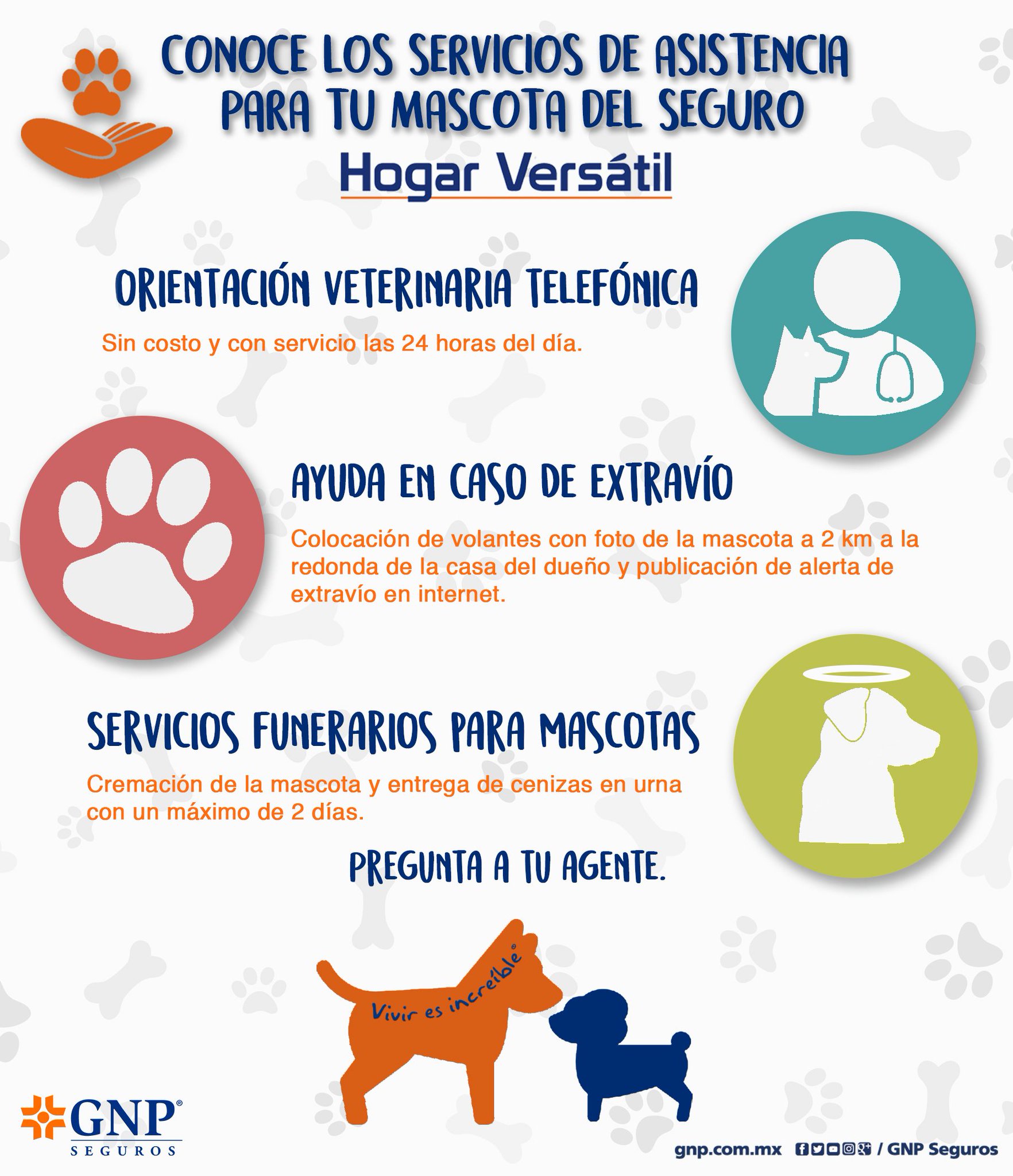 Planes y Seguros – Consultoria Financiera y Patrimonial Benhumea