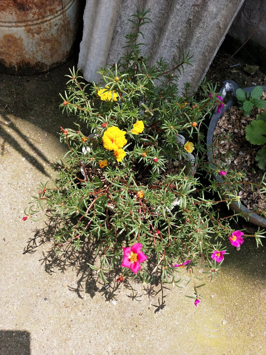 AngelaBI (@AngelaBI16) | Twitter