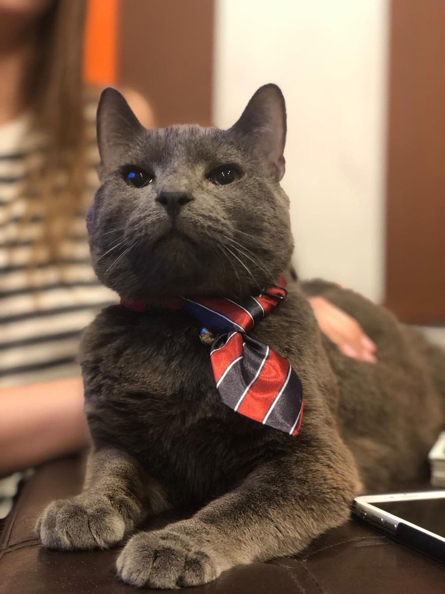 Daniel Sovich (@disco_withit) | Twitter