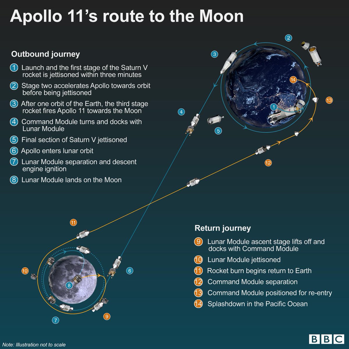 desinfectar localizar clase apollo 11 route aves de corral Virgen Cerdo