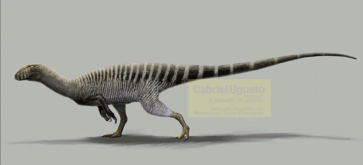 Walking With Dinosaurs Liliensternus