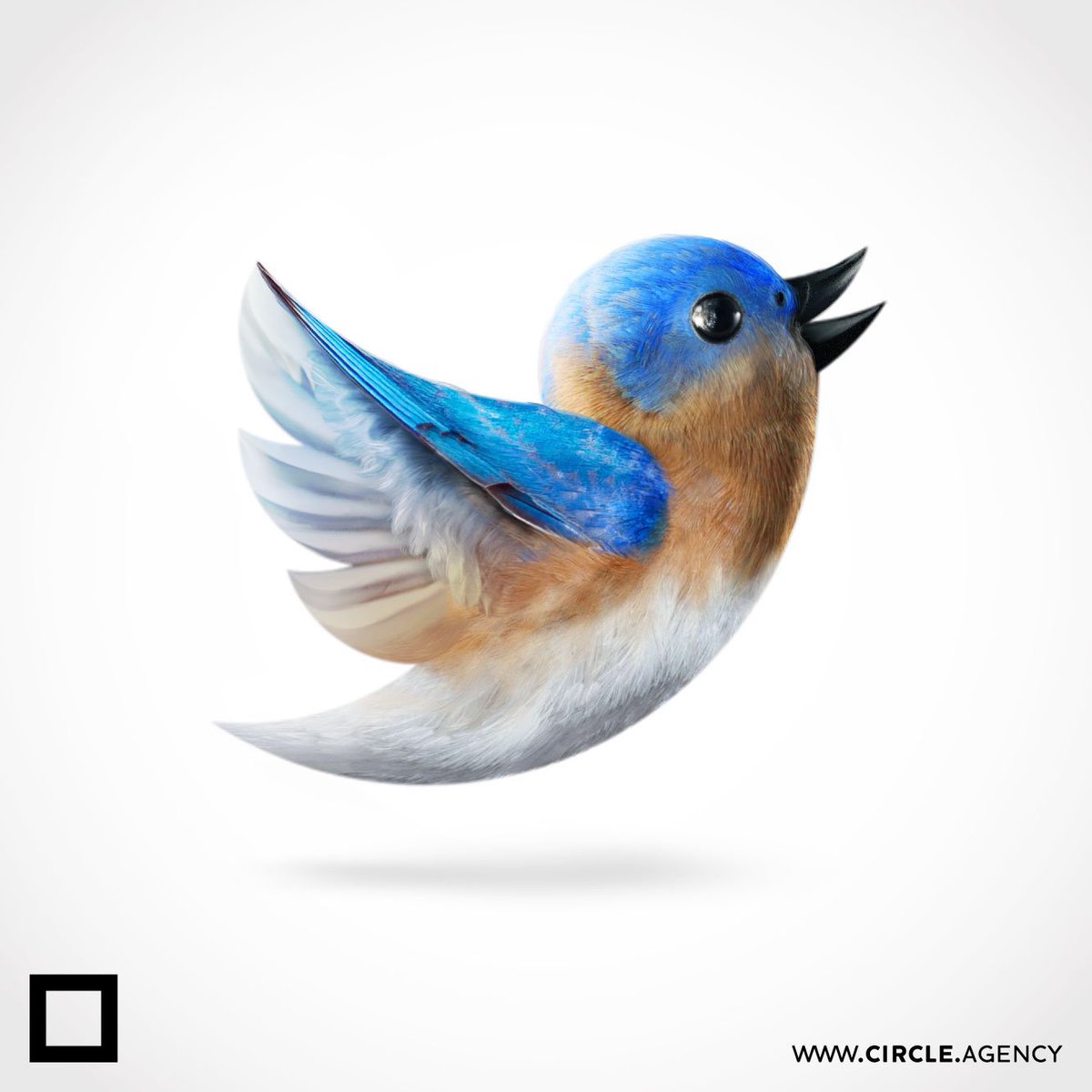 Real Twitter Bird