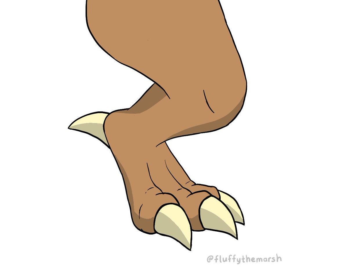 How To Draw A Dragon Legs