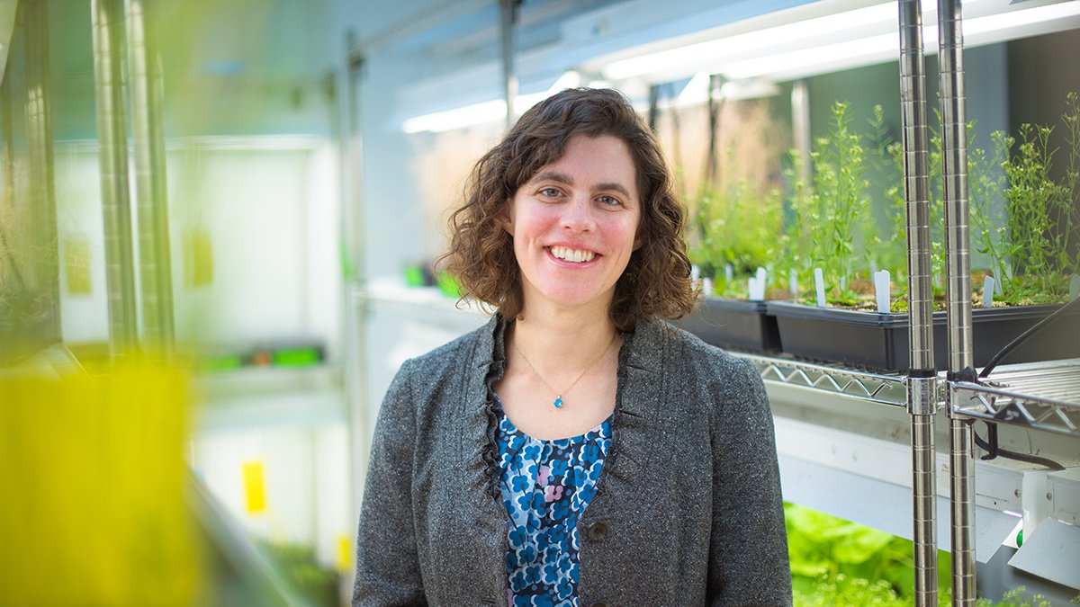 Mary Gehring's Instagram, Twitter & Facebook on IDCrawl