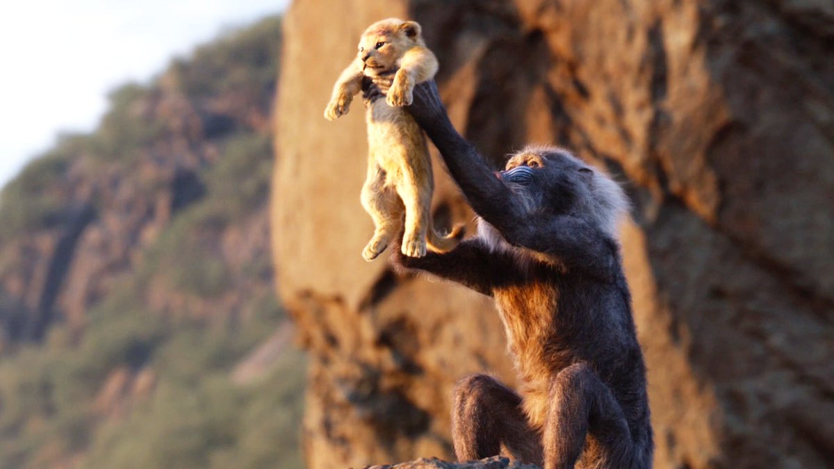 Simba's presented to the animals in the Pride Lands in the full clip of ...