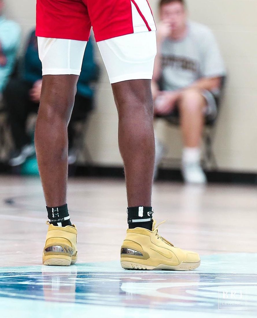 Lebron James Calves