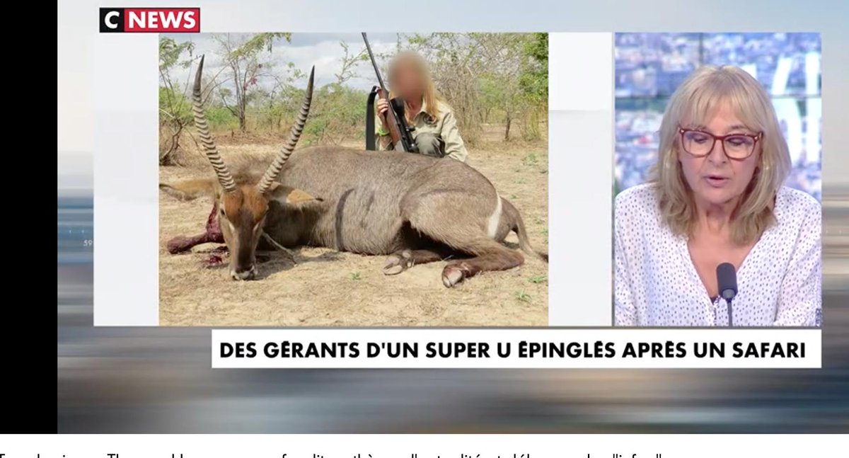 Martine Moreau (@martinemoreau31) | Twitter