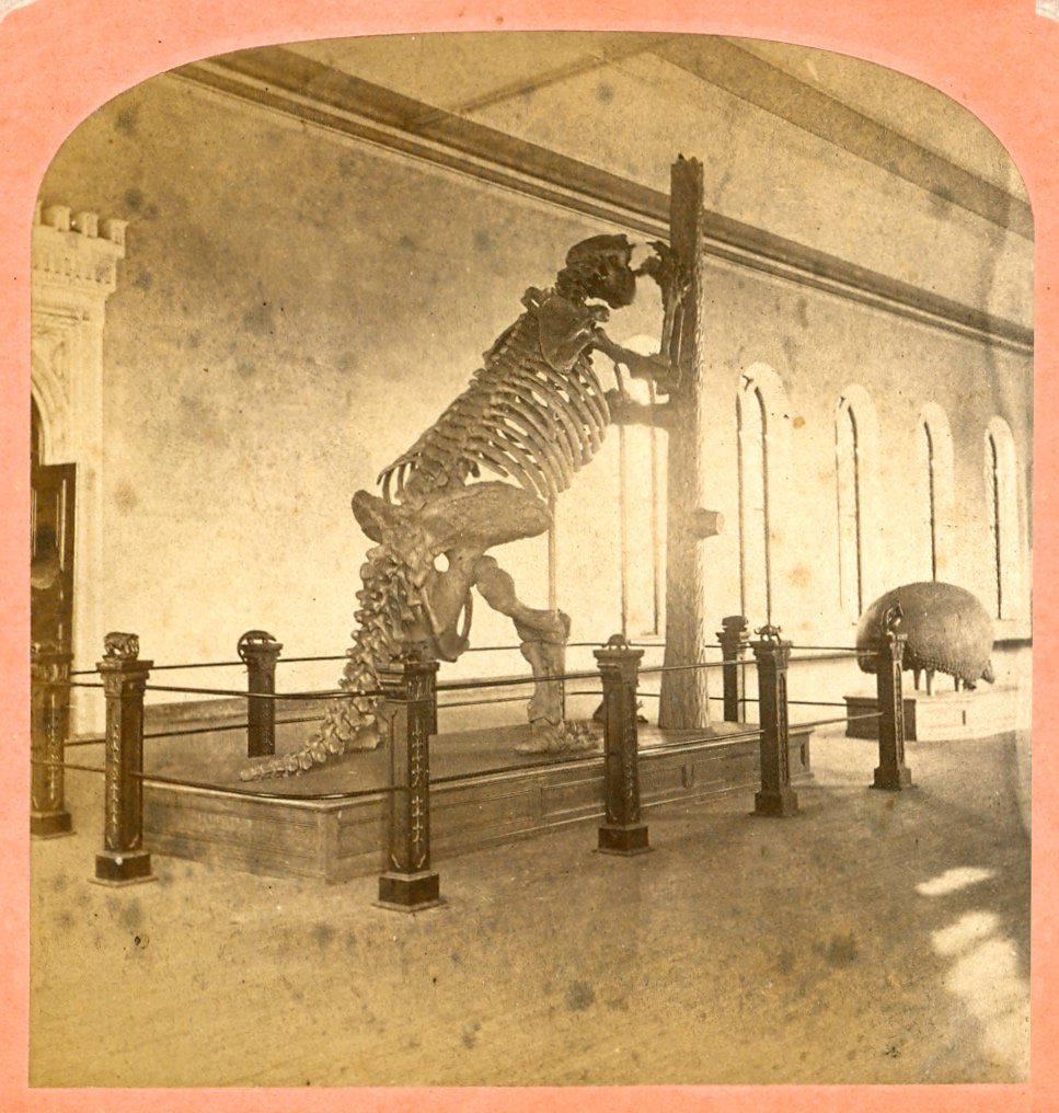 Talk about a glow-up! The first extinct vertebrates on display ...