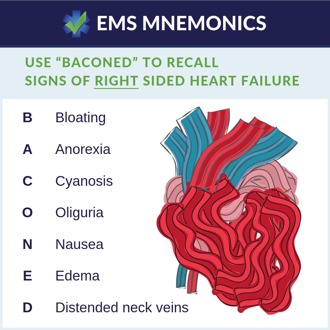 Left Sided Heart Failure Mnemonic
