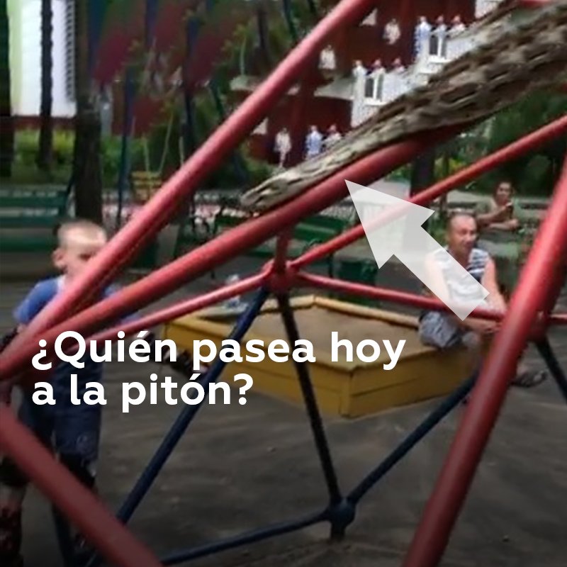 Un residente de Moscú filmó a unos niños jugando con una enorme ...