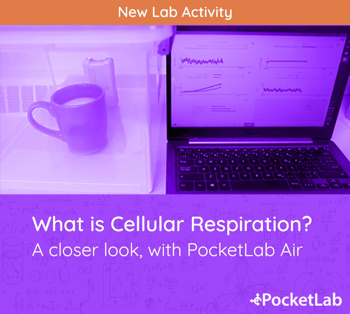PocketLab on Twitter: "New #NGSS aligned #PocketLabAir lab activity ...