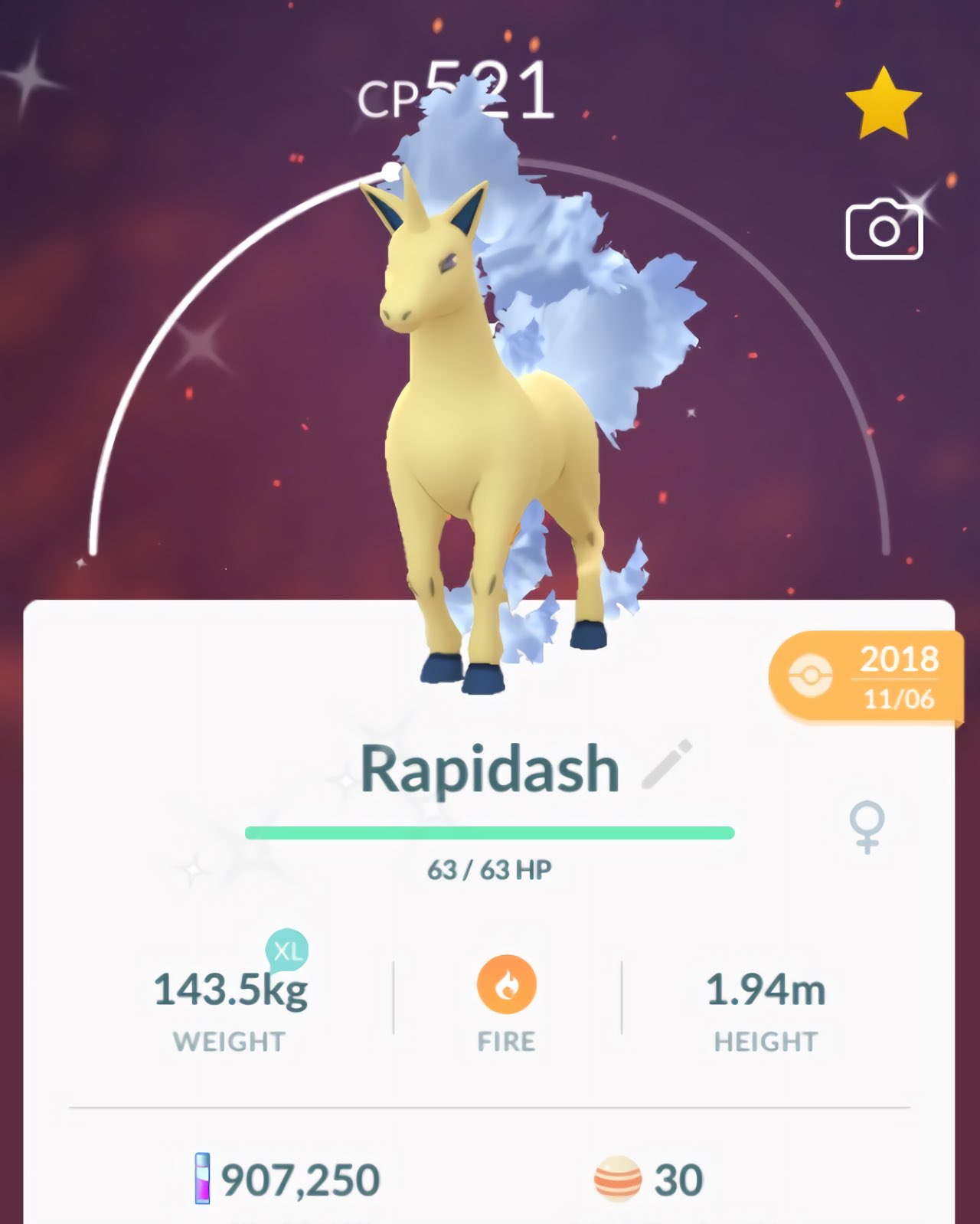 Pokemon Rapidash Evolution