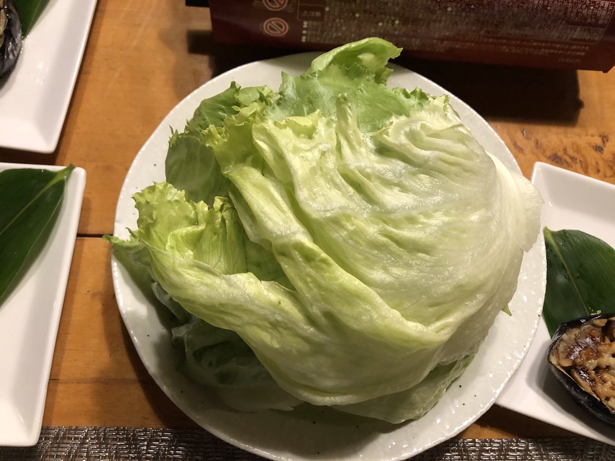 Python mini Hack-a-thon 夏山合宿 2019 (3ページ目) - Togetter