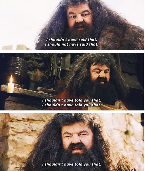 Hagrid Meme Should Not Have Done That
