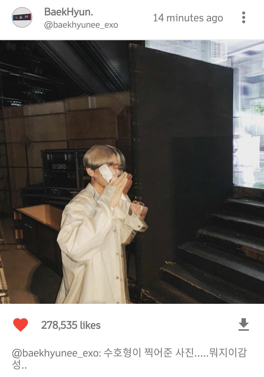 면복숭아♥ (@_cottonpeach) | Twitter