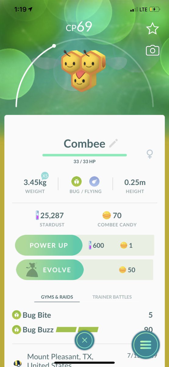 Combee - Pokemon Go