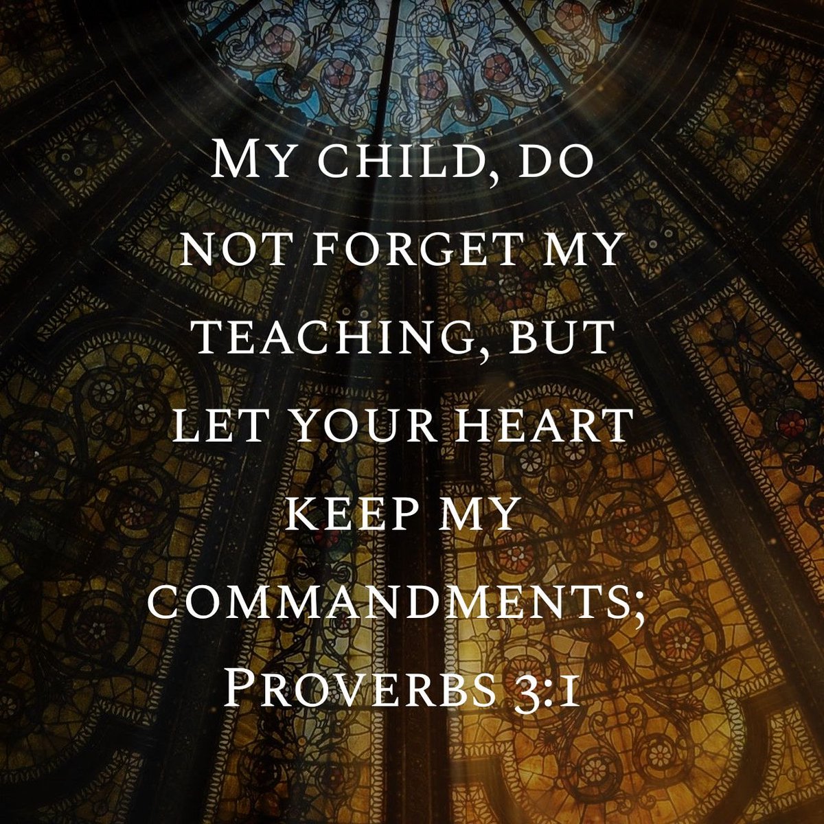 Catholic Bible Verse Of The Day