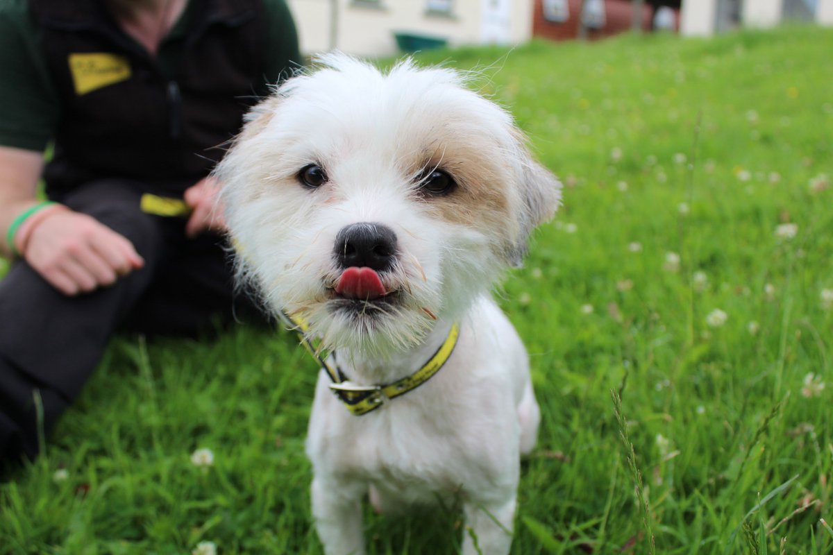 Lauren Ruehl's Instagram, Twitter & Facebook on IDCrawl