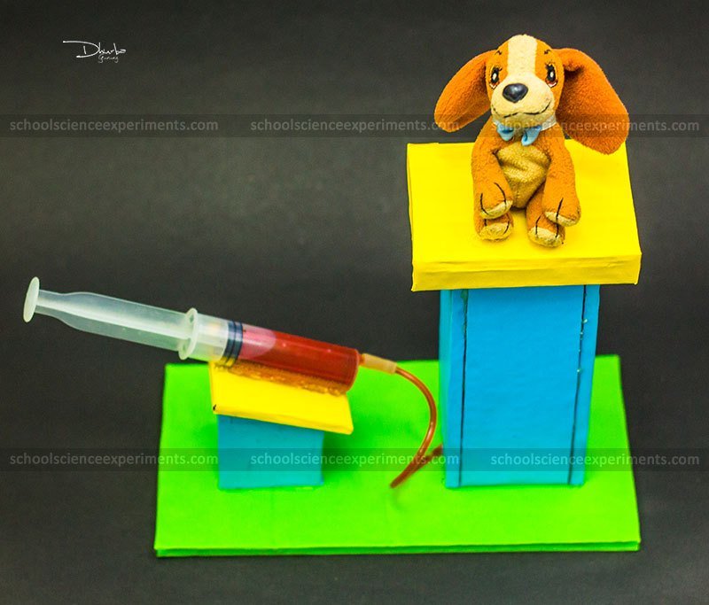 Easy Science Working Models