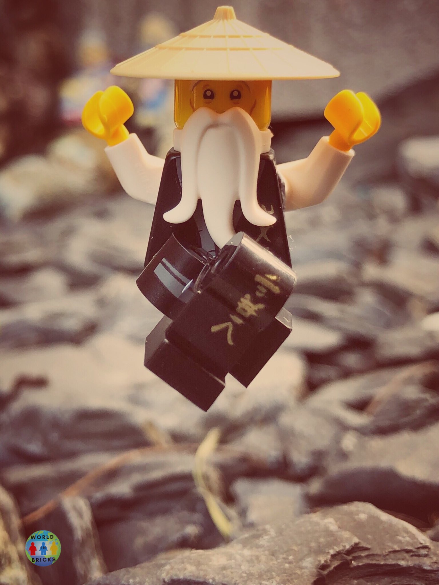 Sensei Wu With No Beard