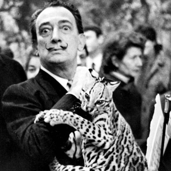 Salvador Dali Pet Anteater