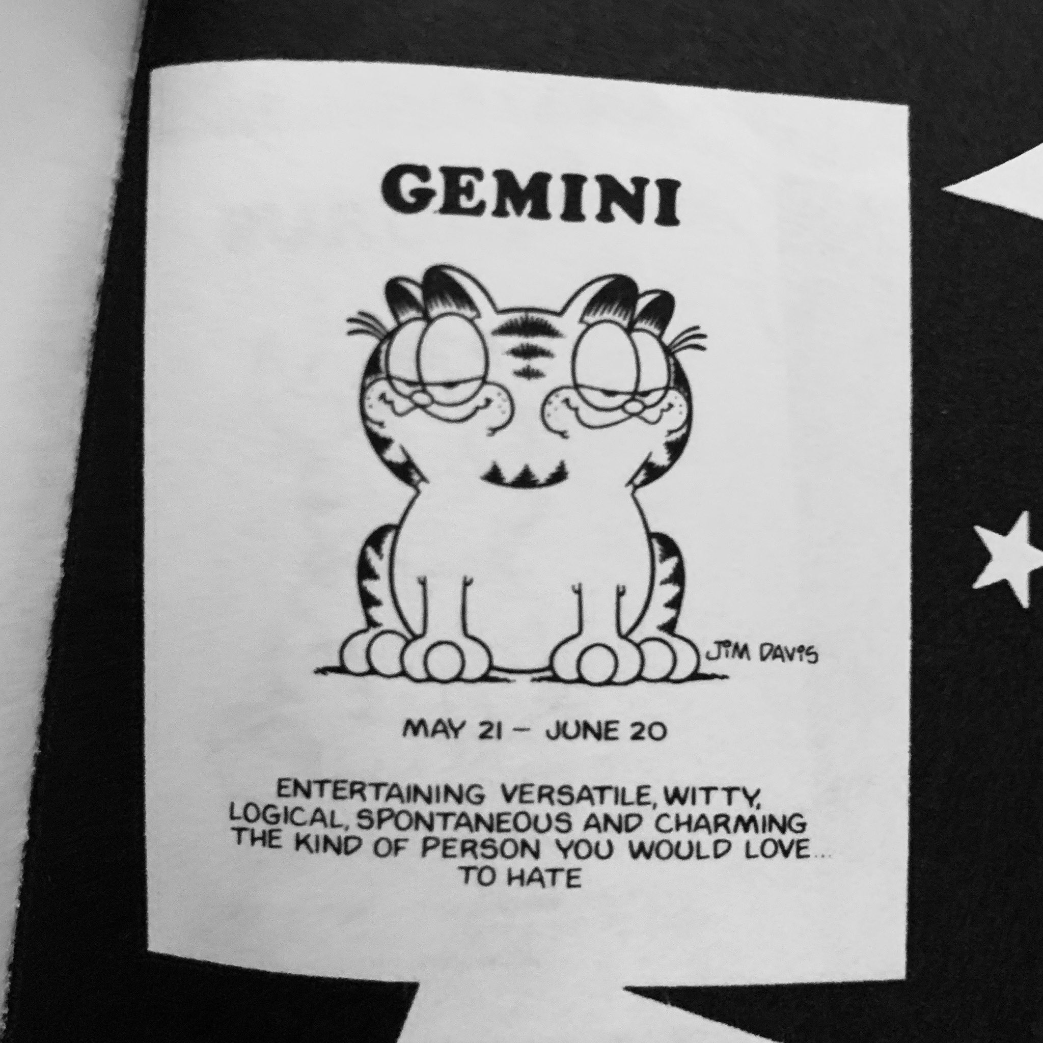 Zodiac garfield 60 photos - Astrologytoyou.com