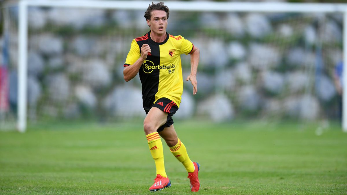 Harry Forster's Instagram, Twitter & Facebook on IDCrawl