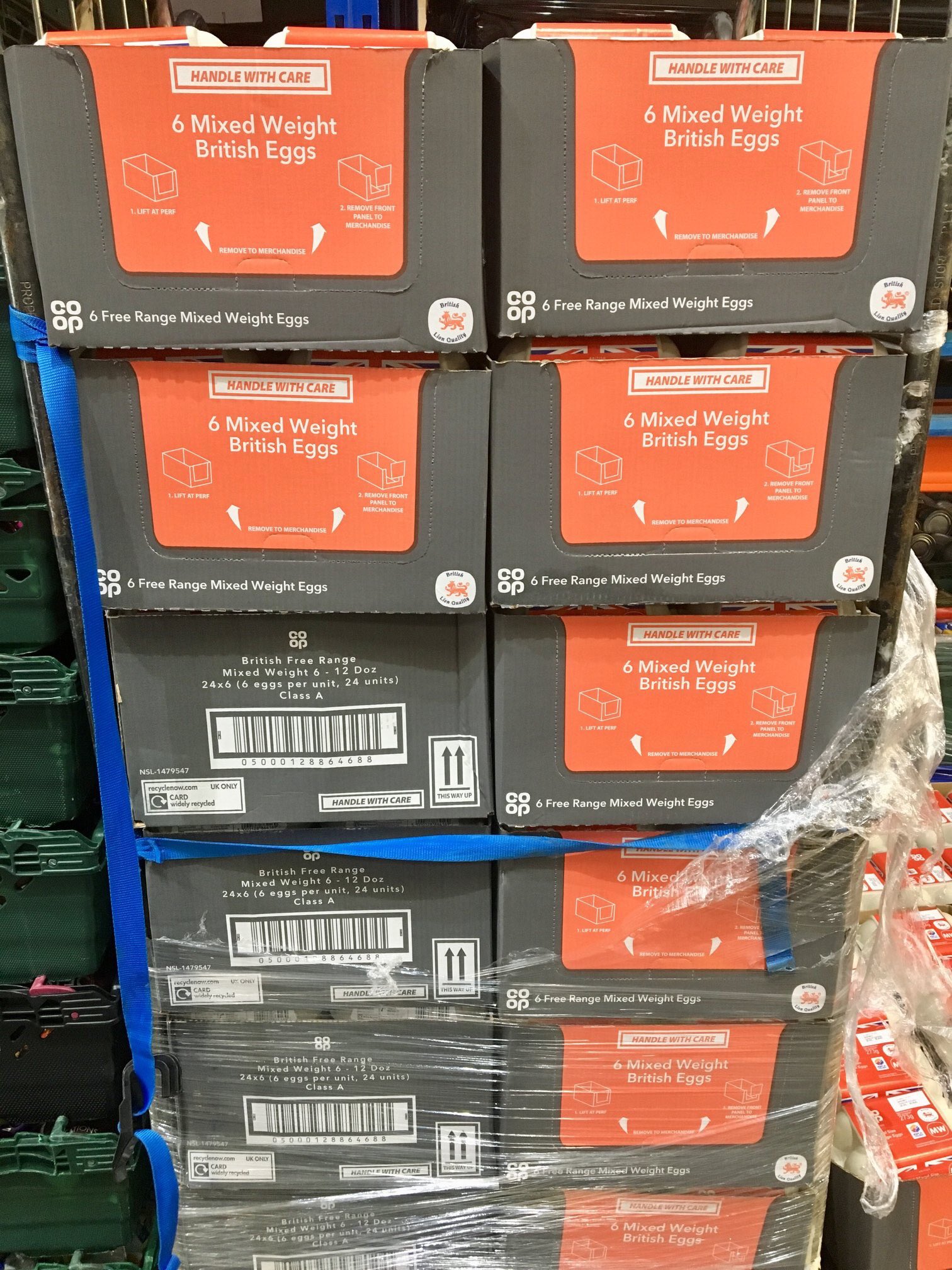 FoodSavers Network (@foodsaversorg) / Twitter