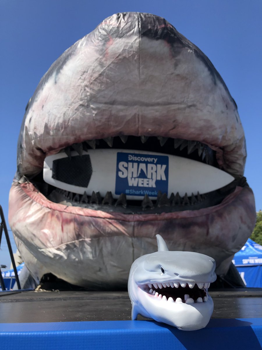 Shark Week Sharkzilla