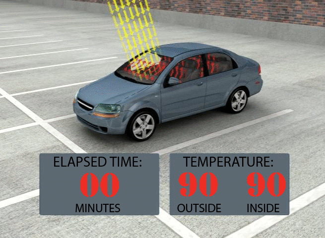 A car can heat to dangerously hot temperatures VERY quickly in the ...