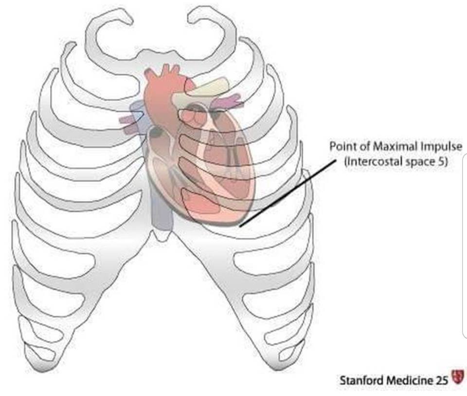Apical Impulse