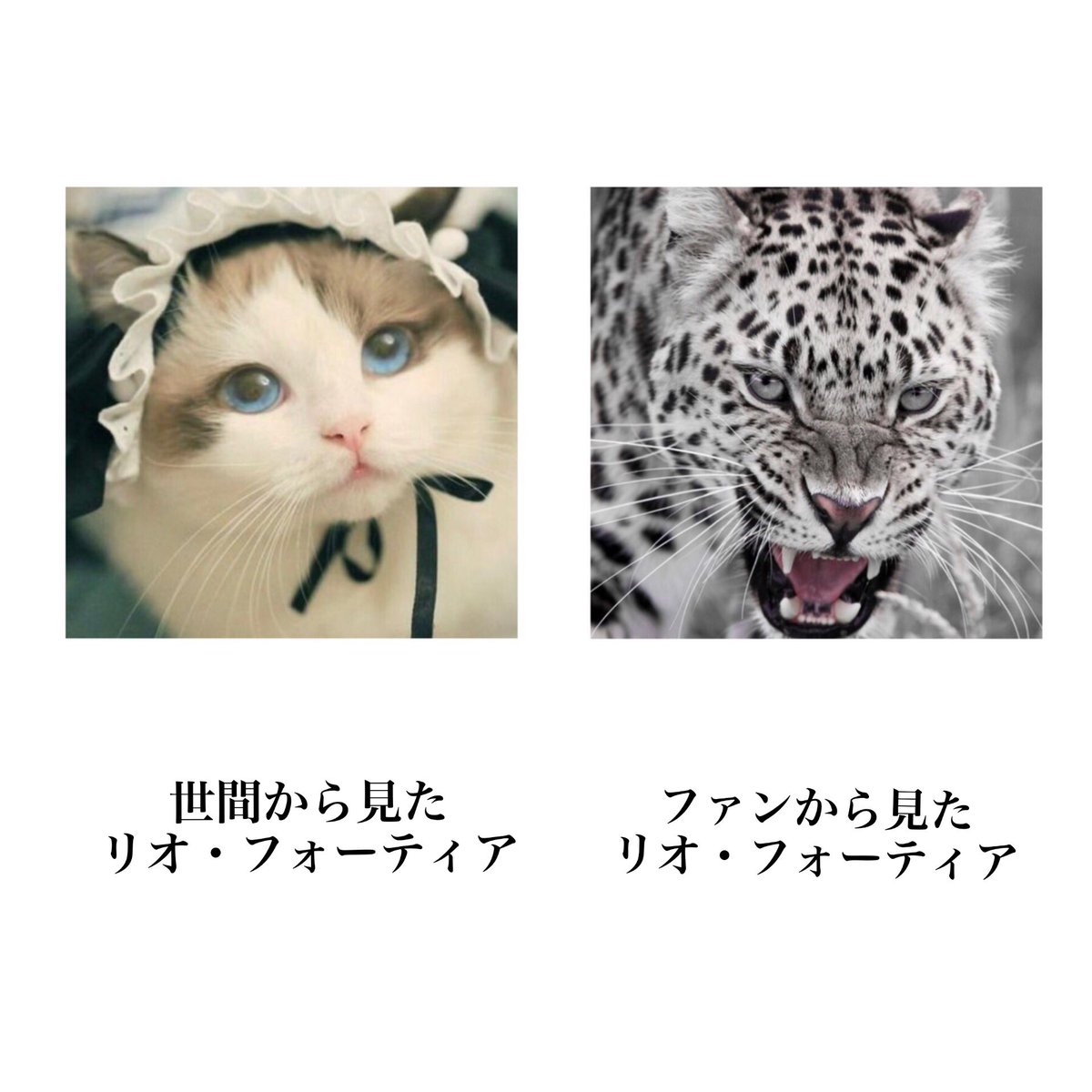 【ヒプノシスマイク】「世間から見た〇〇、ファンから見た〇〇」、MTC & Fling Posse verのギャップがヤバい : ヒプマイまとめ ...