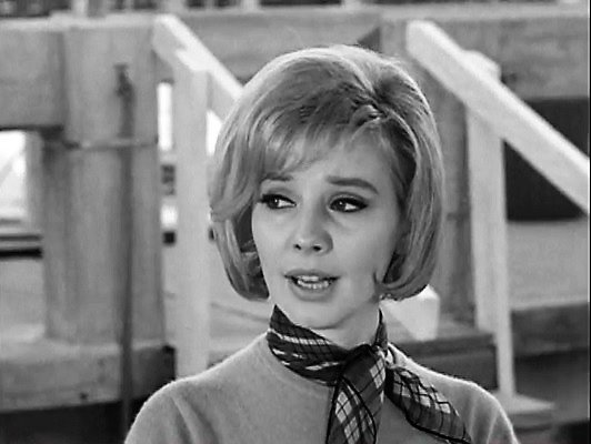 Lorraine Rogers's Instagram, Twitter & Facebook on IDCrawl