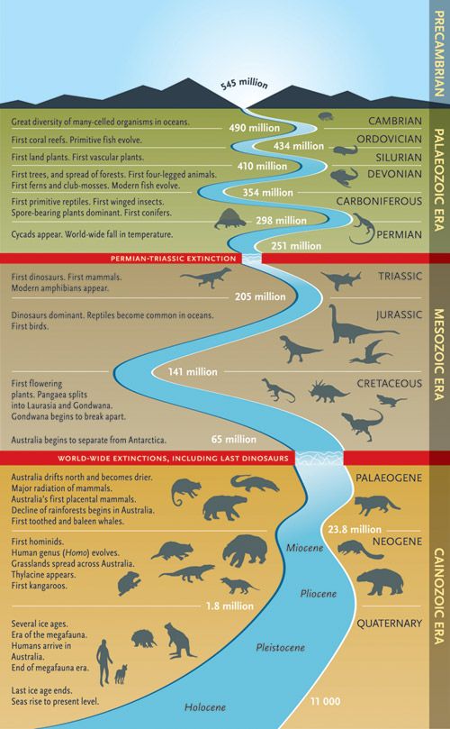 Geologic Time Scale Chart With Evolutionary Events