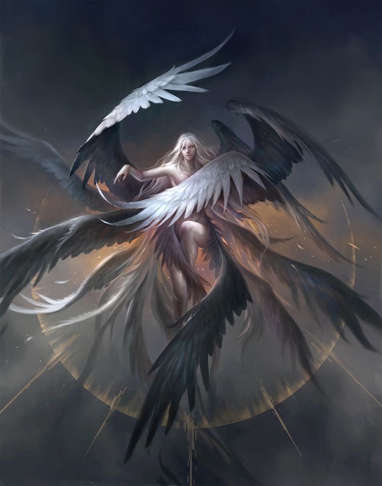 6 Winged Angel Seraphim