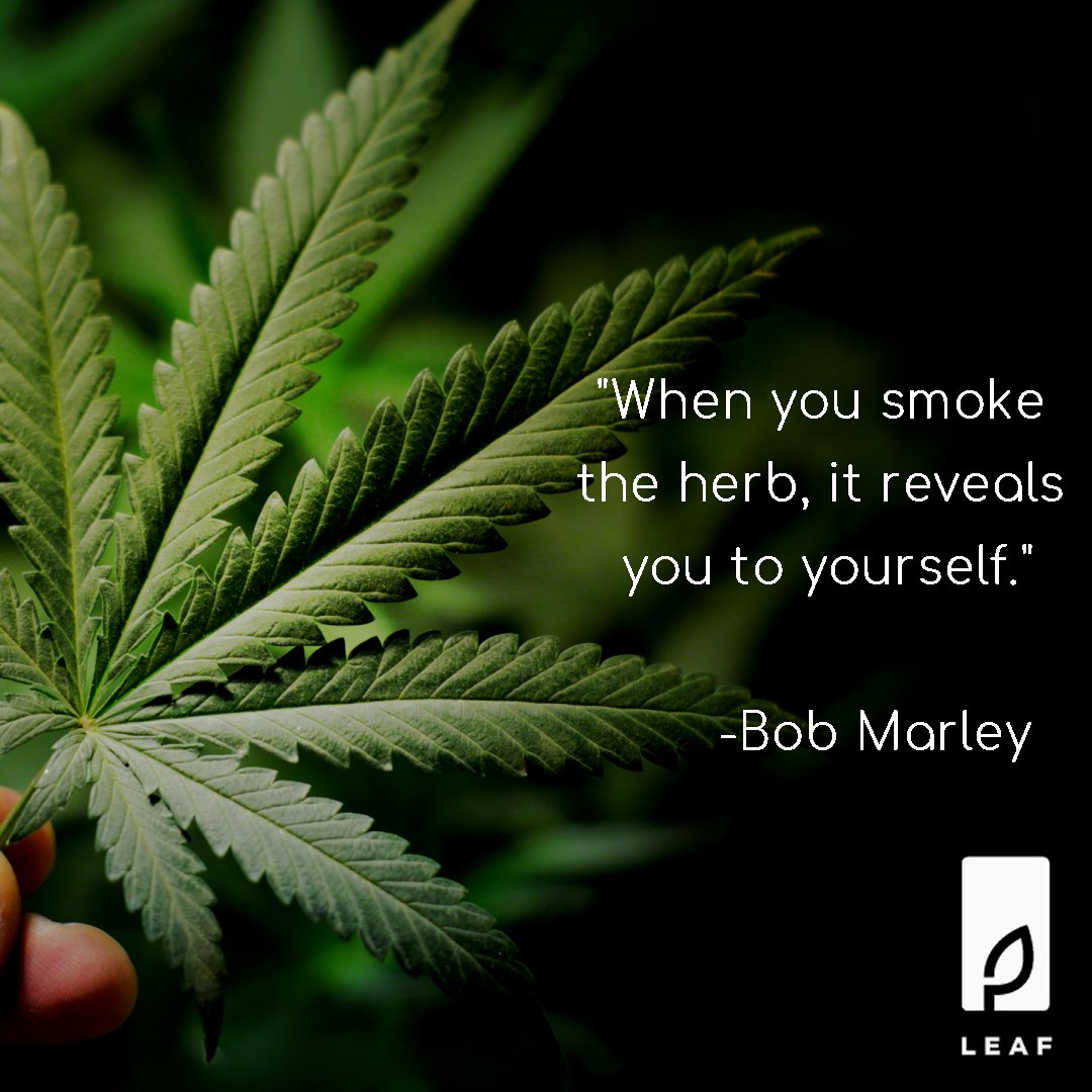 Bob Marley Weed Quotes