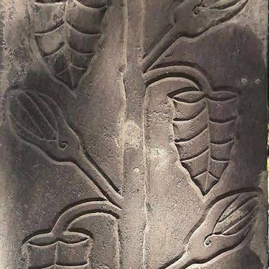 Huacalxochitl, la flor huacal en el antiguo mexico. Se le conoce ...