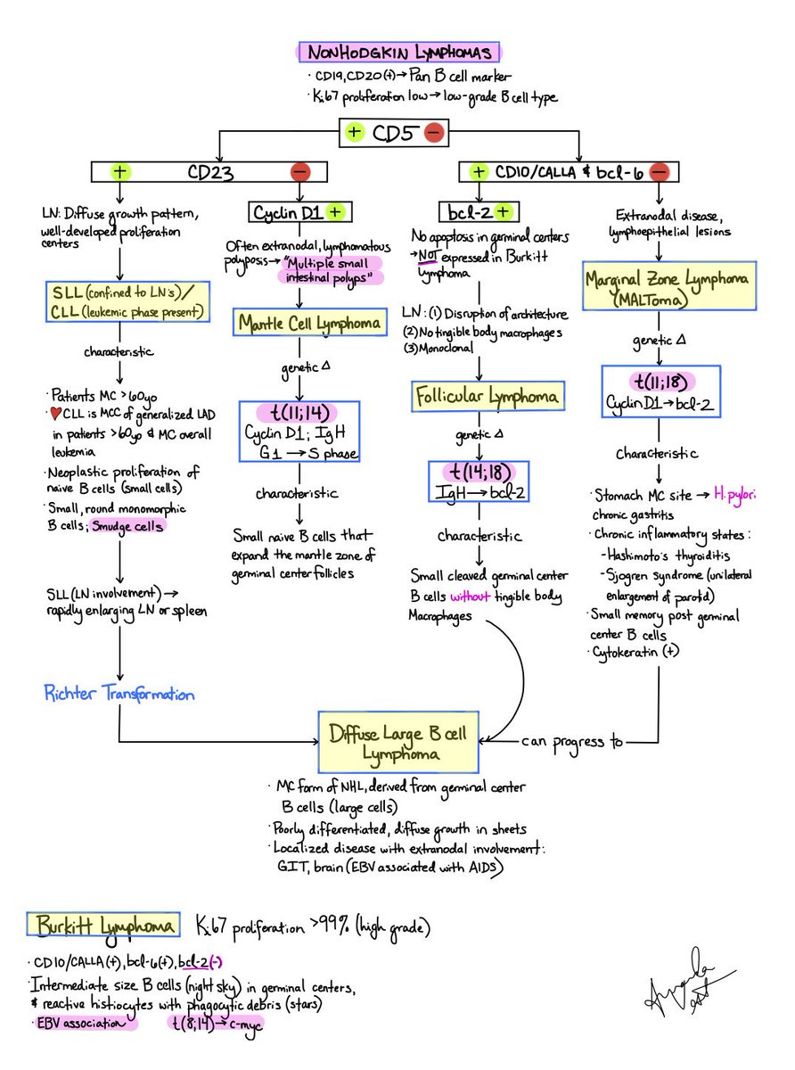 Hodgkin Vs Non Hodgkin Lymphoma Usmle - slidesharetrick