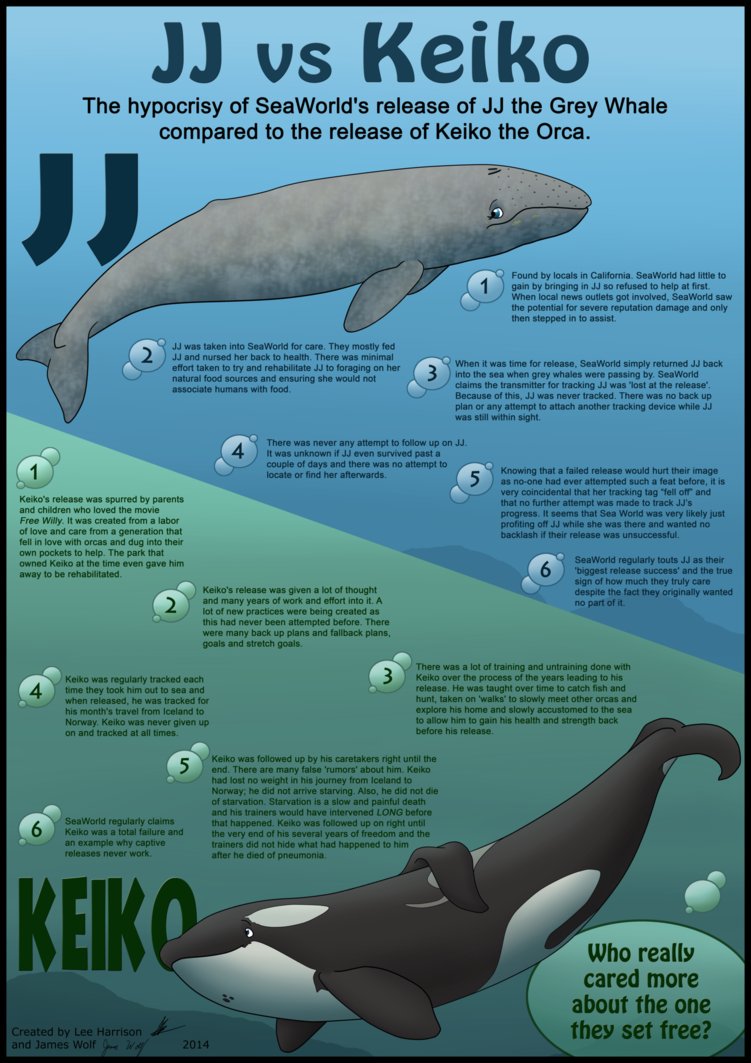 Keiko The Whale Dead