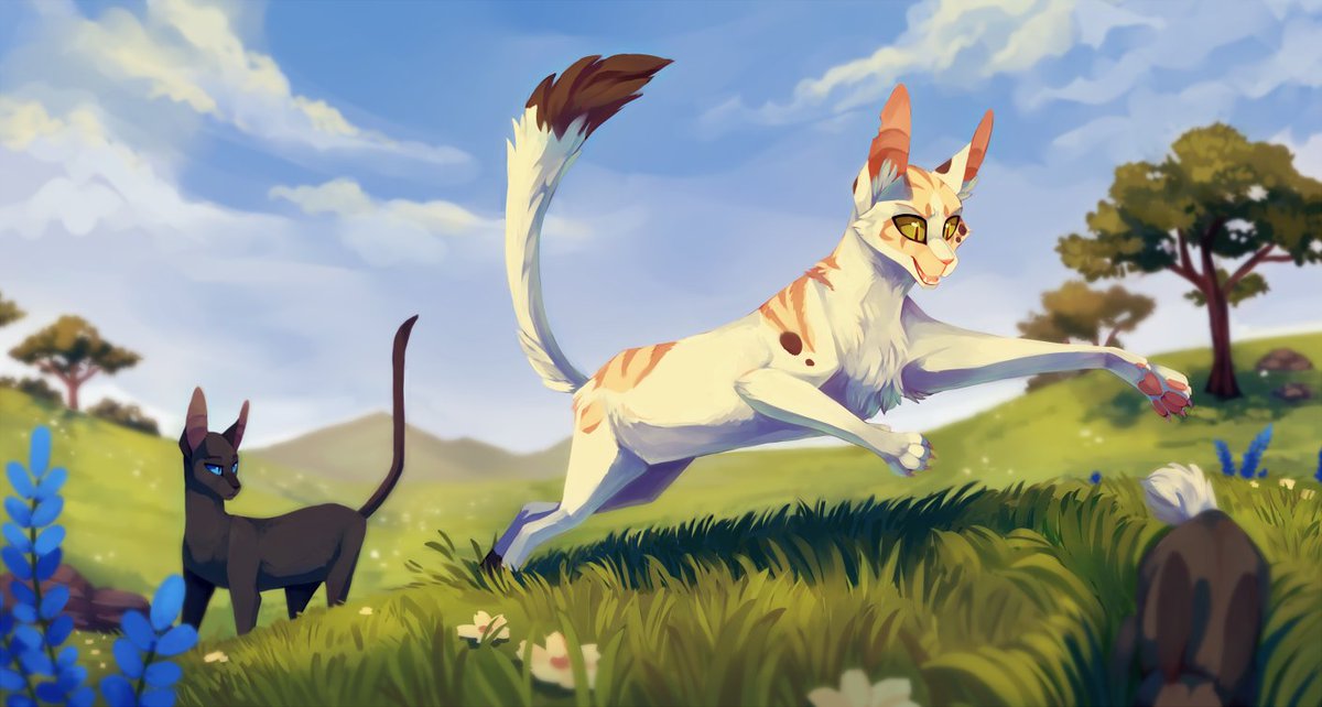 Windclan Warriors Background