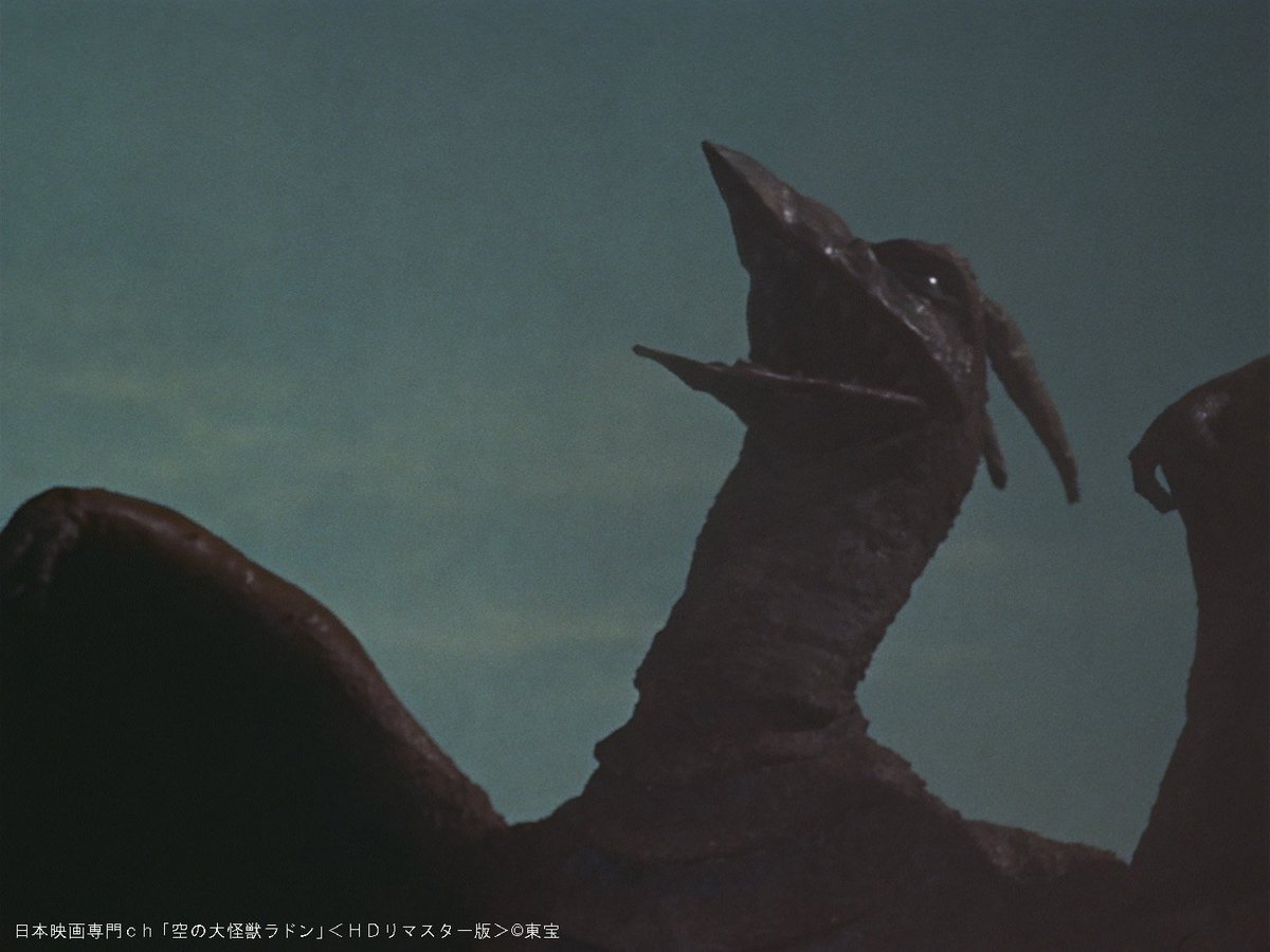 日本映画専門チャンネル On Twitter 【 東宝特撮王国】 あす4 6 金 午後3時15分~ 「空の大怪獣ラドン」<hdリマスター版