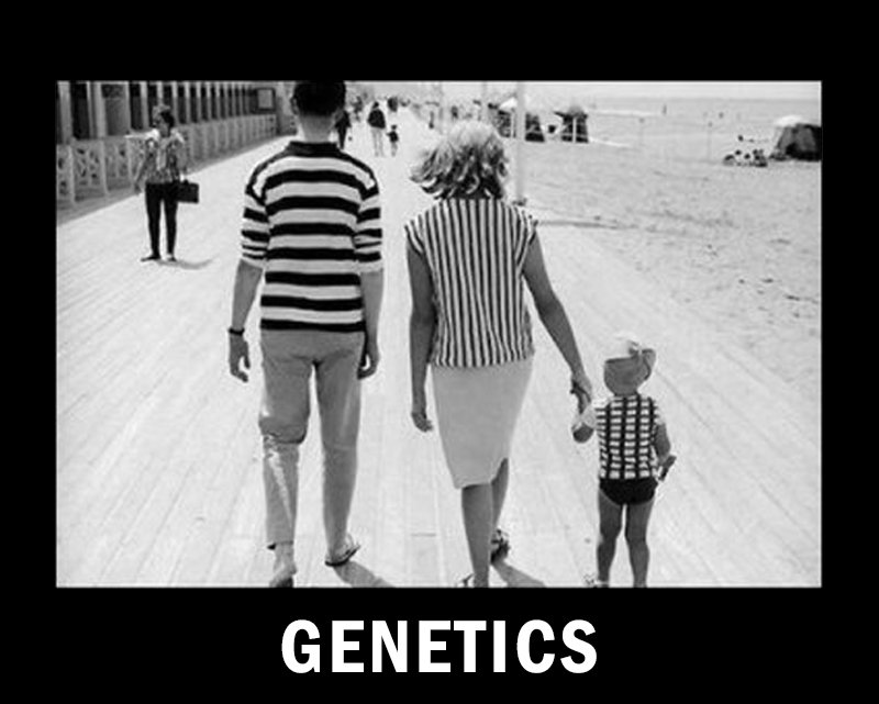 Genetics Memes