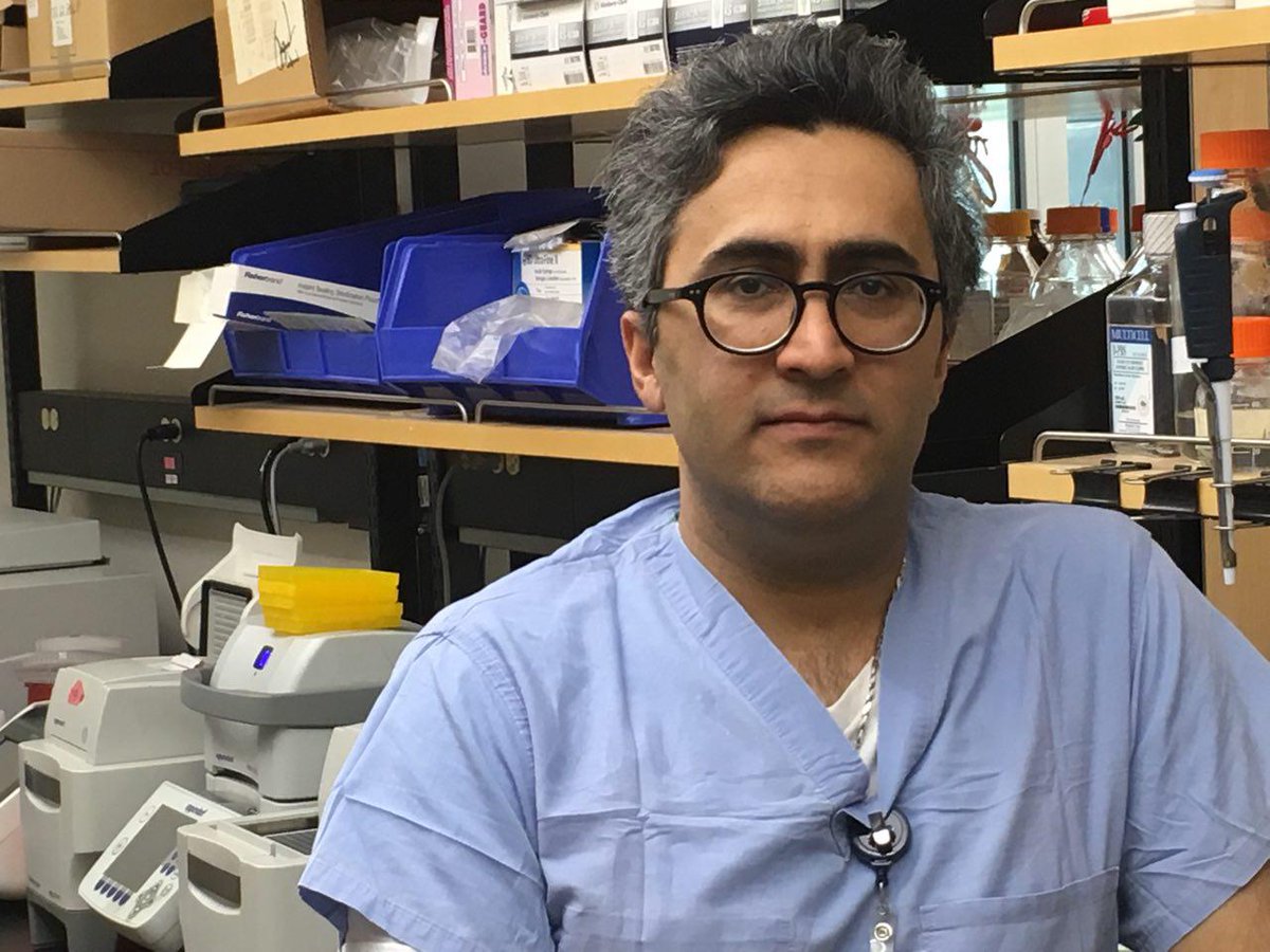 Hamed Mahmoodi (@Haamedmahmoodi) | Twitter