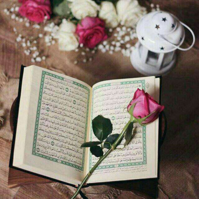 maher rasheed (@maherrasheed8) | Twitter