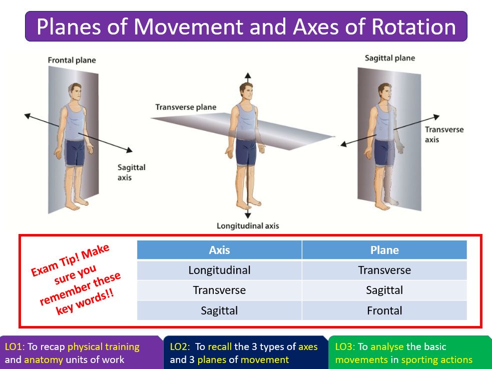 Sagittal Axis Of Rotation