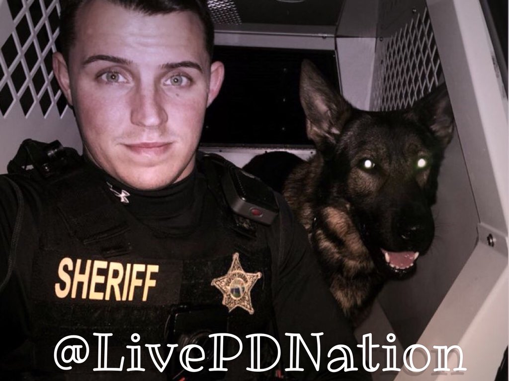 Mark Pini's Instagram, Twitter & Facebook on IDCrawl