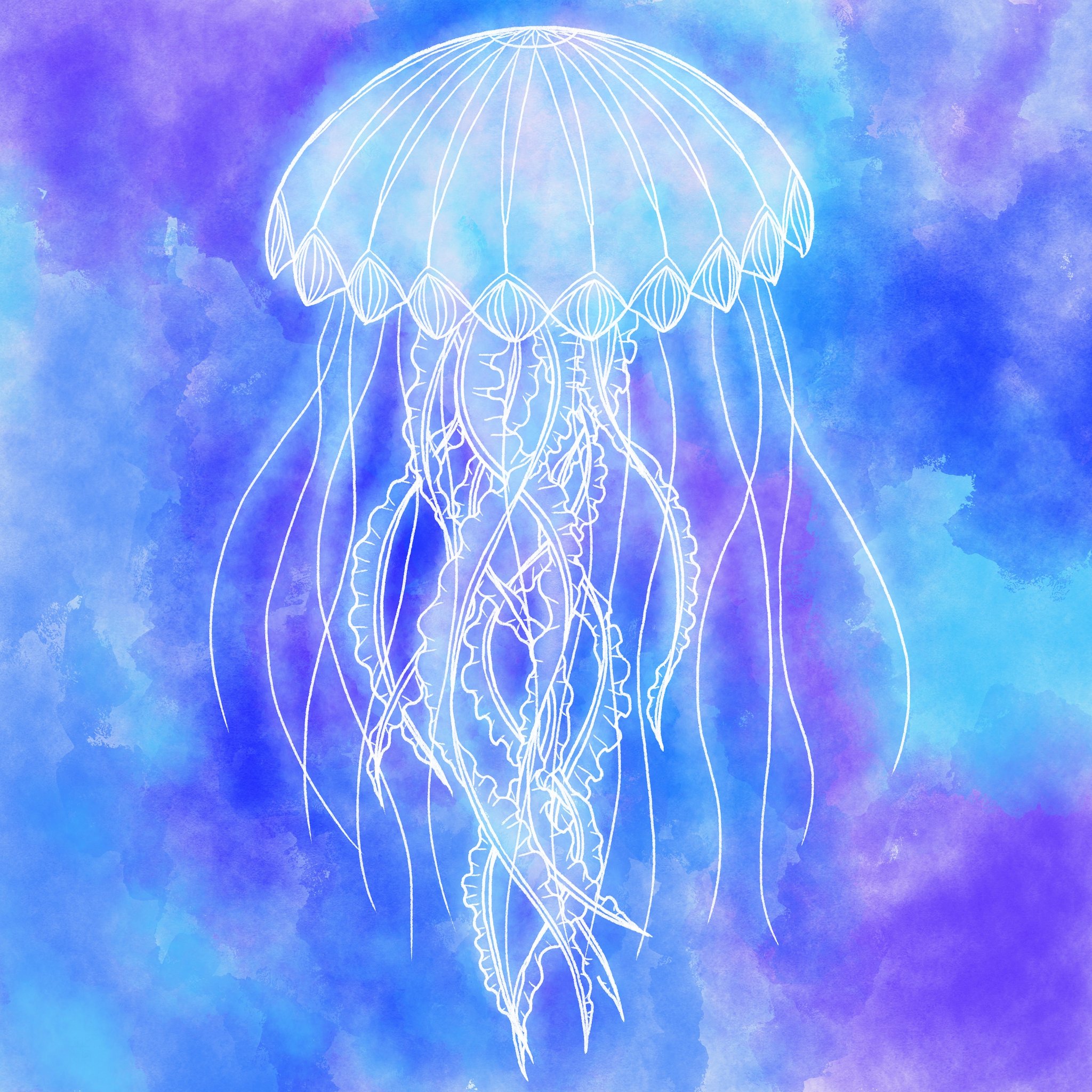 Underwater Jellyfish Drawing