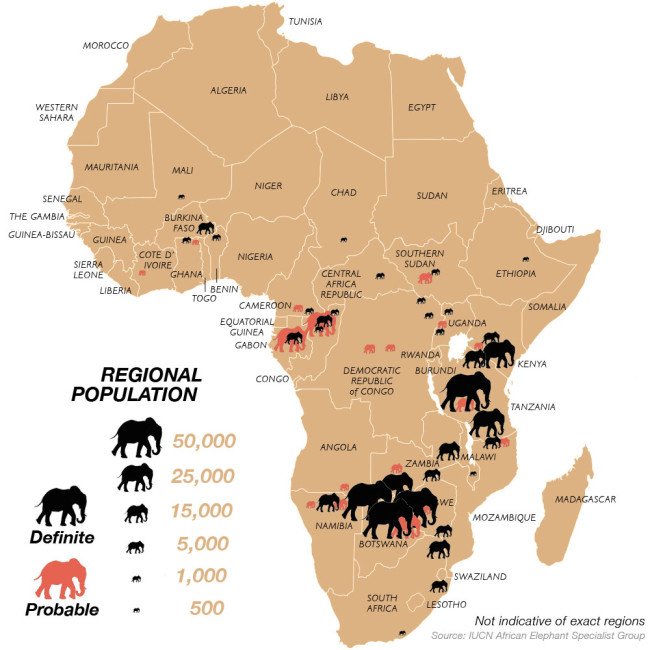 Elephants In Africa Map